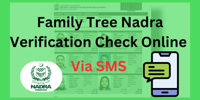 8009 Nadra Family Tree Online Check 2024 | Invest Lahore